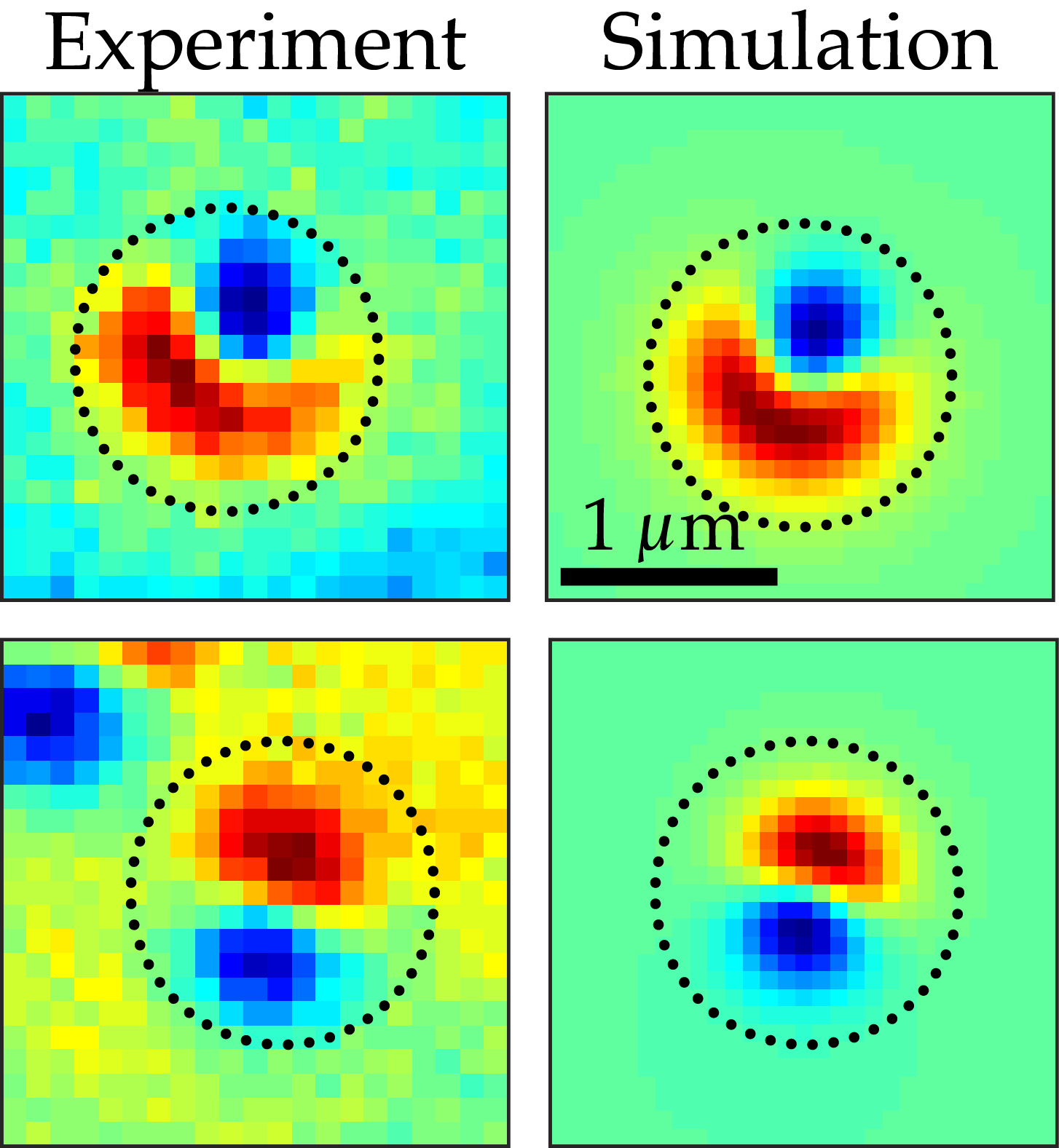 Nanoscale magnetic sensor for biophysical imaging | UW Department of ...