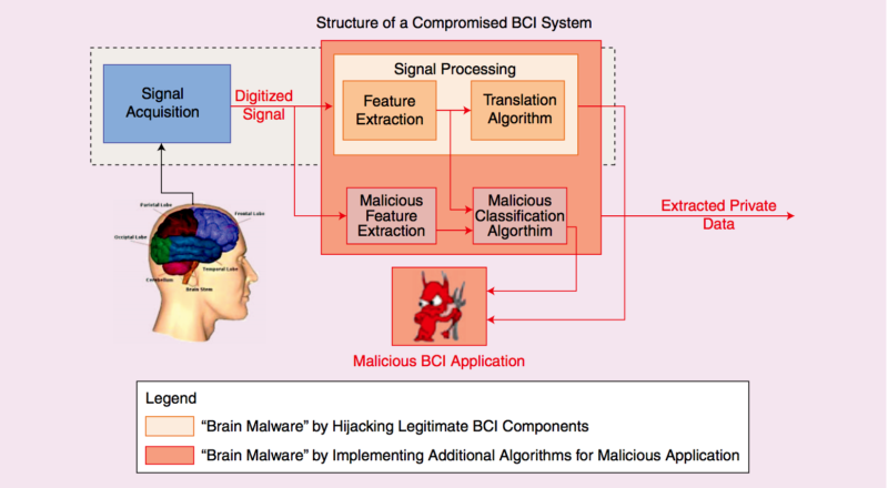 Researcher Tamara Bonaci Describes the Next Frontier of Brain Hacking ...