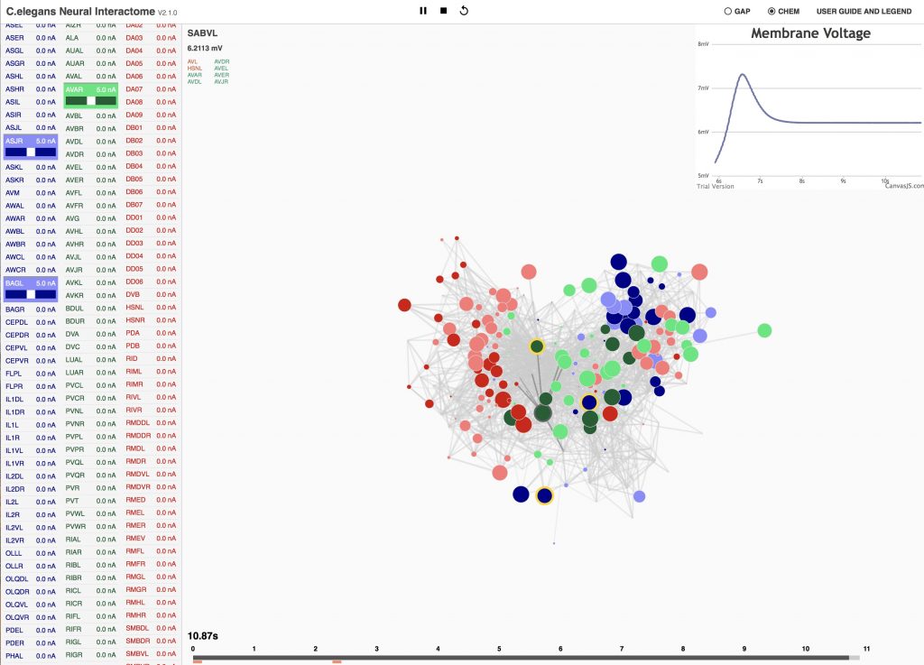 UW researchers create an interactive simulation of a nervous system ...