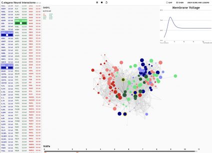 UW researchers create an interactive simulation of a nervous system ...