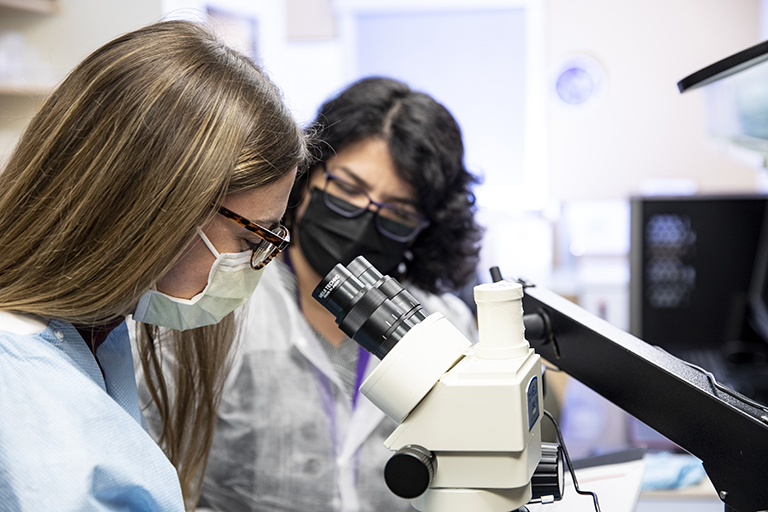 UW-led team receives $4.2M grant to develop AI-guided brain stimulation ...