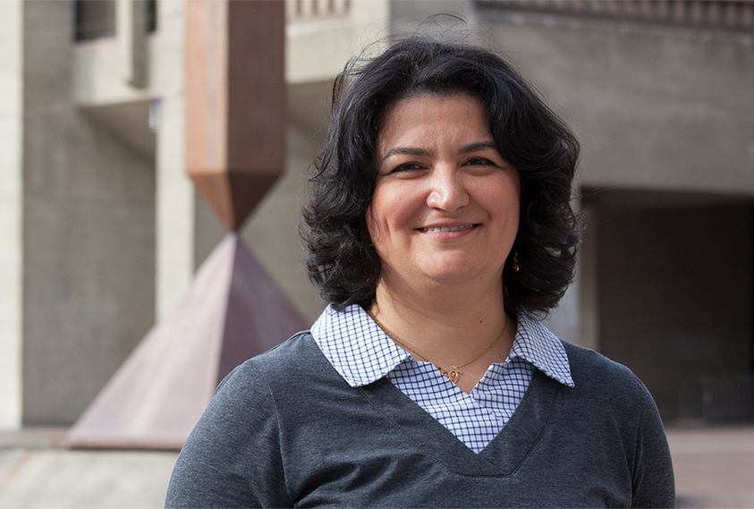 UW-led team receives $4.2M grant to develop AI-guided brain stimulation ...