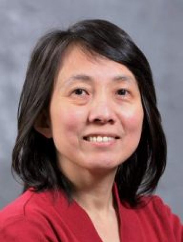 CHIPS Faculty | UW Department of Electrical & Computer Engineering