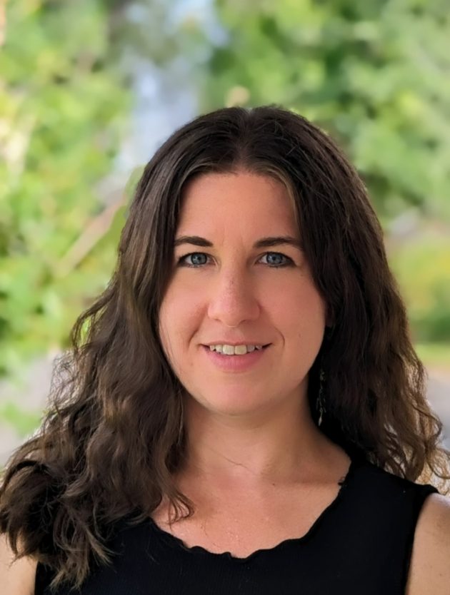 Unconventional quantum phases and their visualization with atomic resolution | UW Department of ...